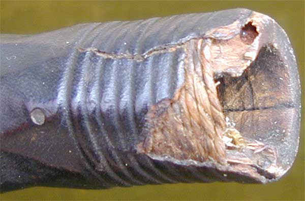 EARLY MUSICAL INSTRUMENTS - MUSIC TREASURES - IMPORTANT ITALIAN TENOR ...